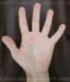 Earth Hand Shape in Palmistry - Destiny Palmistry