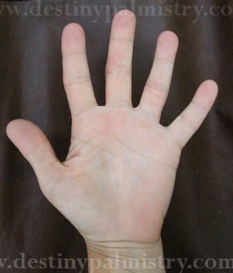 Earth Hand Shape in Palmistry - Destiny Palmistry