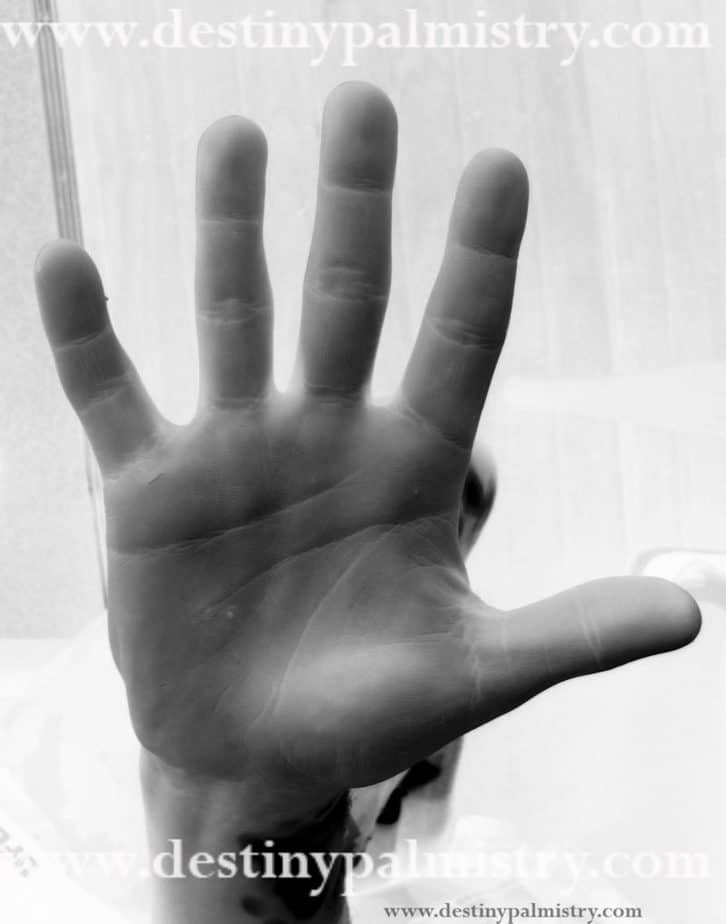 Earth Hand Personality in Palmistry - Destiny Palmistry Home