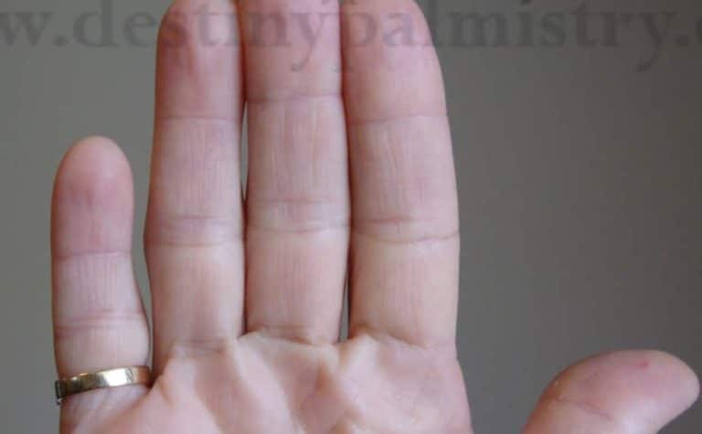 Finger Length Meaning in Hand Analysis - Destiny Palmistry