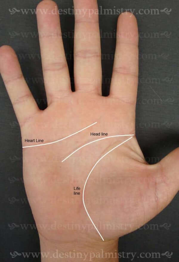 Influence Lines and Support Lines in Palmistry - Destiny Palmistry