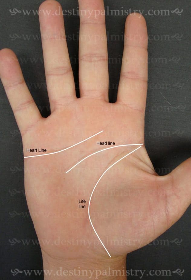 Influence Lines and Support Lines in Palmistry - Destiny Palmistry