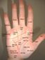 Palm Lines and Palmistry How Does it Work? - Destiny Palmistry