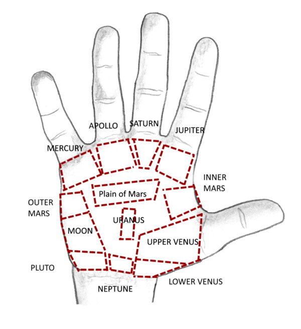 Easy Palm Reading Guide for Beginners - Destiny Palmistry
