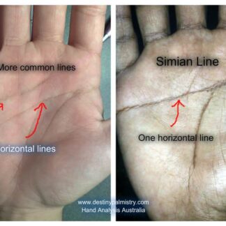 Simian line in palmistry Archives - Destiny Palmistry