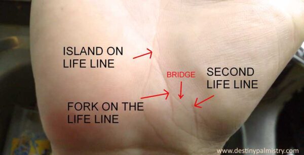 Split line of life or marks on the life line - Destiny Palmistry