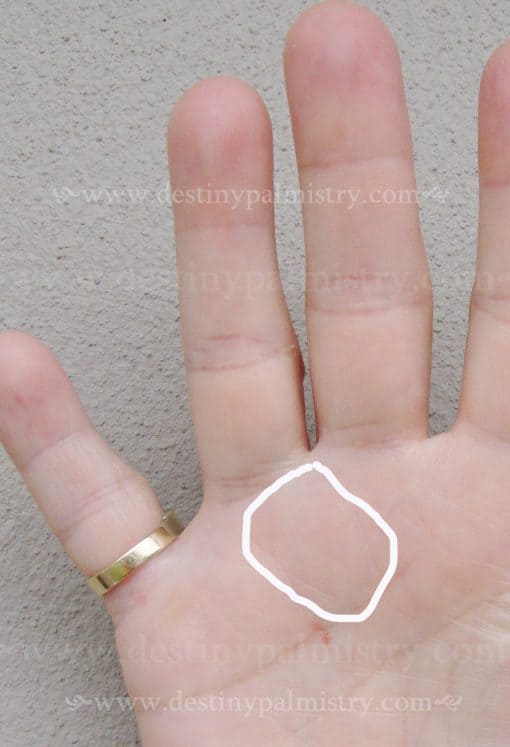 Apollo Mount and Sun lines Meaning on the Palm - Destiny Palmistry Home
