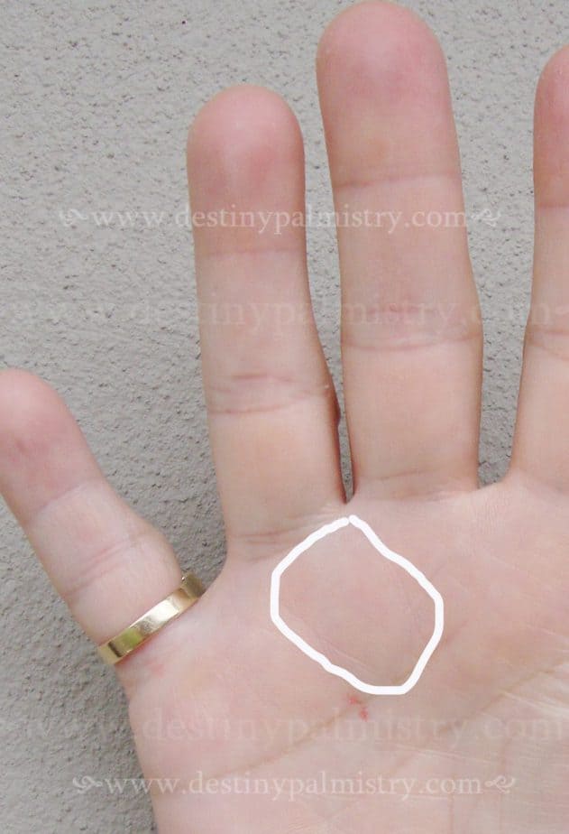 Apollo Mount and Sun lines Meaning on the Palm - Destiny Palmistry Home