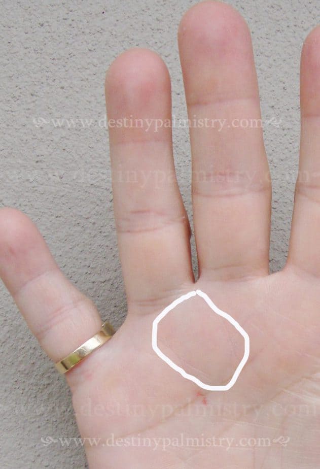 Apollo Mount and Sun lines Meaning on the Palm - Destiny Palmistry Home