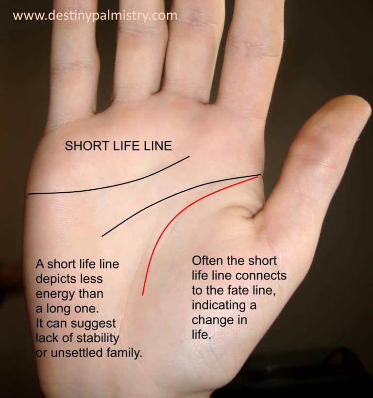 Palmistry Lines Book 2 All the Lines eBook - Destiny Palmistry