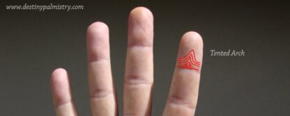 Tented Arch Fingerprint Meaning in Palmistry - Destiny Palmistry