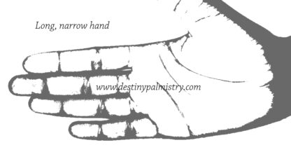 Long Narrow Hand What Does it Mean in Palmistry? - Destiny Palmistry