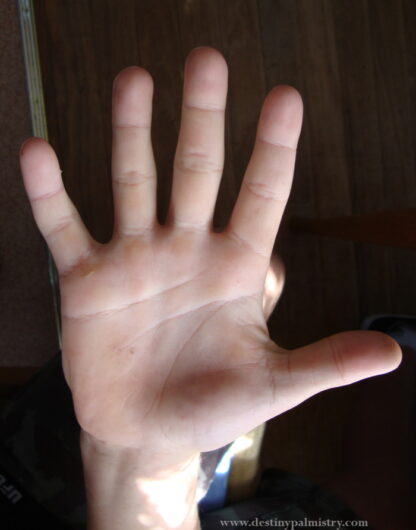 Fire Hand Shape in Hand Analysis - Destiny Palmistry