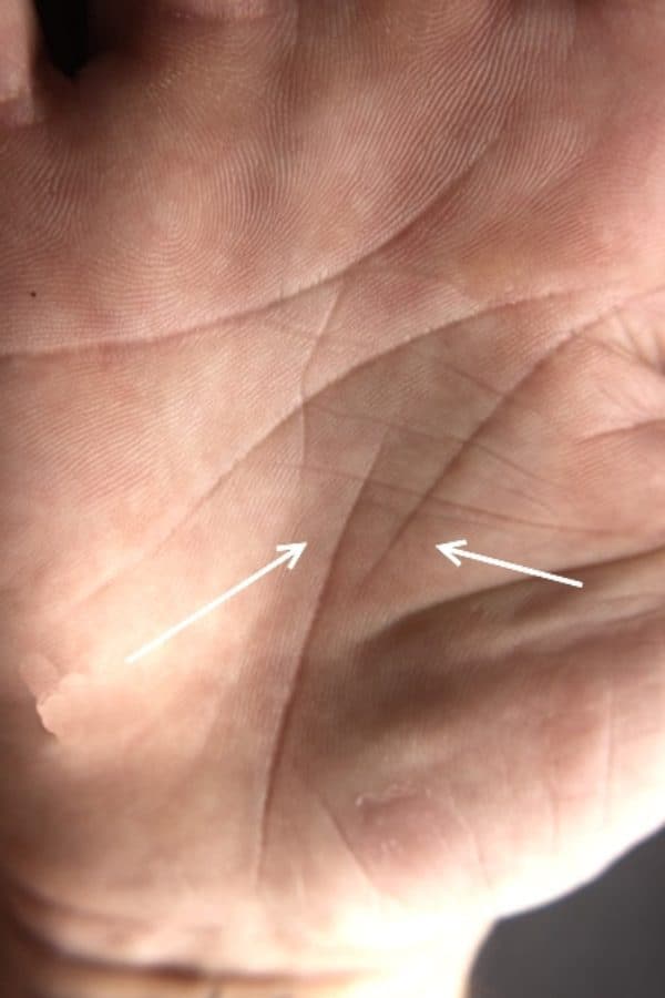 Life Line Types In Palmistry And What They Mean Destiny Palmistry life-line-types-in-palmistry-and-what-they-mean-destiny-palmistry
