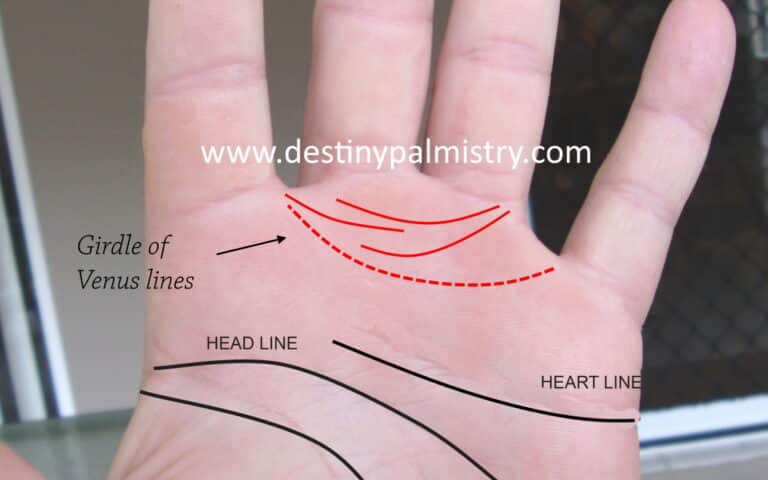 The Minor Lines That Can Have Major Messages - Destiny Palmistry