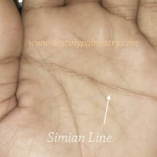 Hand Analysis Lessons Archives - Destiny Palmistry