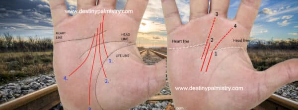 Split Life Line Real Meaning in Palmistry - Destiny Palmistry