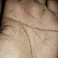 Simian Lines On One or Both Palms? - Destiny Palmistry