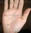 Life Line Types and Palmistry Meanings - Destiny Palmistry
