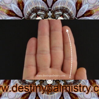 Hand Analysis Lessons Archives - Destiny Palmistry