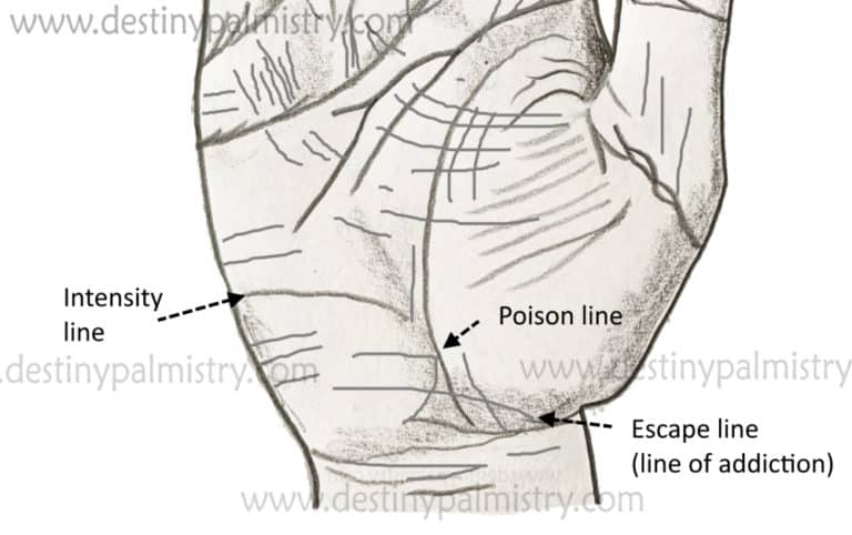 Poison Line (Poison Bar) Meaning on the Palm - Destiny Palmistry