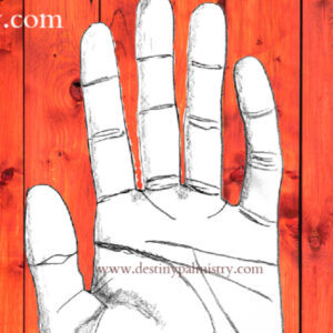 curved mercury finger Archives - Destiny Palmistry