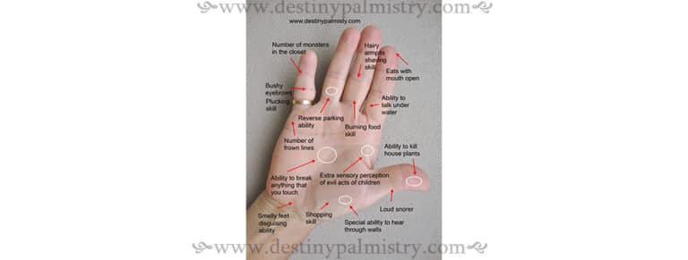 Funny Palmistry Memes Just for Fun - Destiny Palmistry