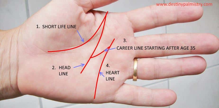 Letter M on the Palm and Money Triangles - Destiny Palmistry