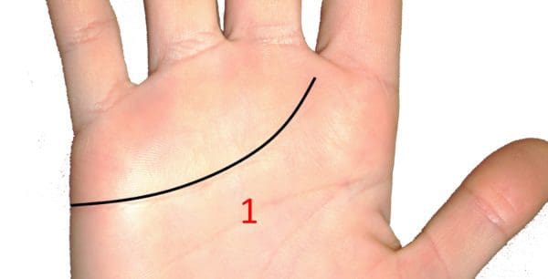 Type of Heart Line on the Palm, Which Do You Have? - Destiny Palmistry