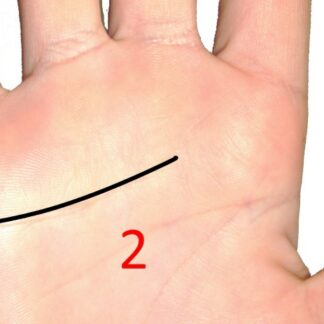 Straight Heart Line Meaning in Palmistry - Destiny Palmistry