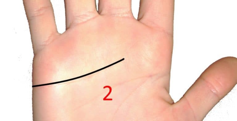 Type of Heart Line on the Palm, Which Do You Have? - Destiny Palmistry