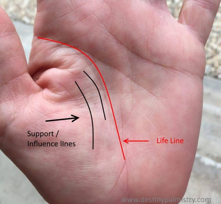 Influence Lines and Support Lines in Palmistry - Destiny Palmistry