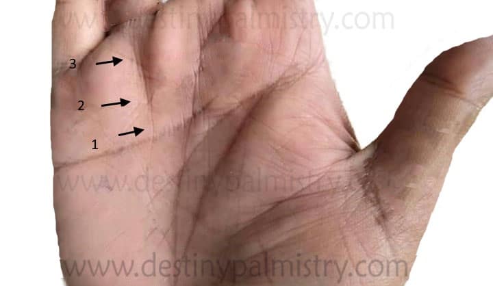 Ambition and Leadership Signs in Palmistry - Destiny Palmistry