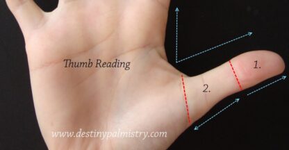 Thumb Reading to see Willpower and Drive - Destiny Palmistry