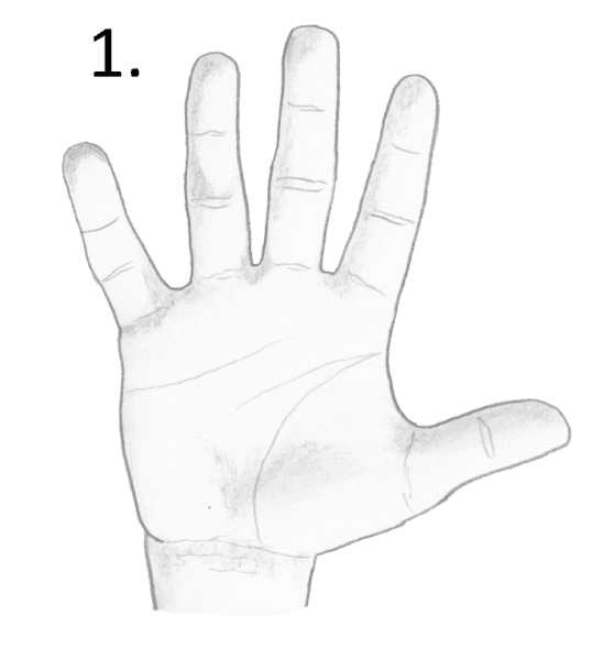 Hand Shape - Which One Matches Yours? - Destiny Palmistry