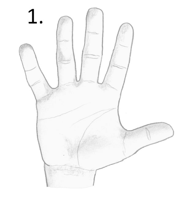 Hand Shape - Which One Matches Yours? - Destiny Palmistry