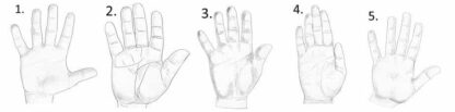 Earth Hand Shape in Palmistry - Destiny Palmistry