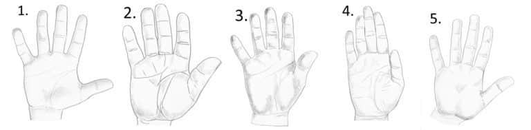 Hand Shape - Which One Matches Yours? - Destiny Palmistry