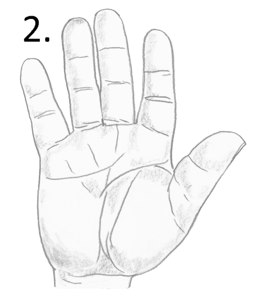Hand Shape - Which One Matches Yours? - Destiny Palmistry