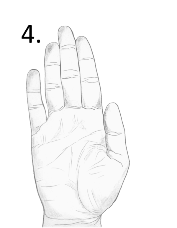 Water Hand Shape in Palmistry - Destiny Palmistry
