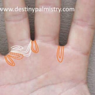 Best Palmistry Blog for Specialist Learning - Page 5 of 11 - Destiny ...