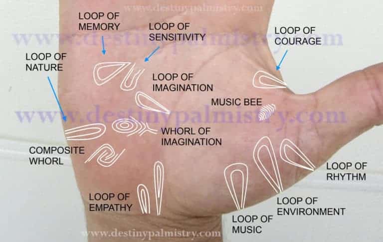 Lines On the Fingertips Meaning in Palmistry - Destiny Palmistry