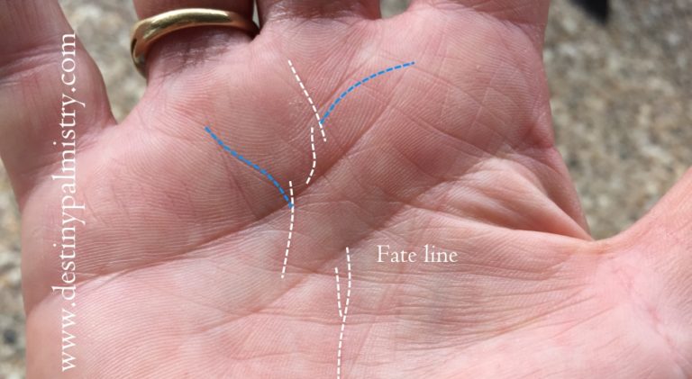Branch Lines on the Palm Signify Key Issues - Destiny Palmistry