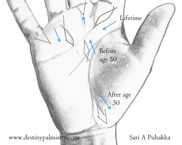 Fish Sign on the Palm Indian Palmistry - Destiny Palmistry