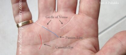 Rare Palm Lines That You Might Have - Destiny Palmistry