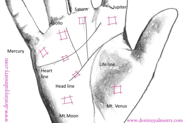 Square Mark on the Palm Mounts Palmistry - Destiny Palmistry