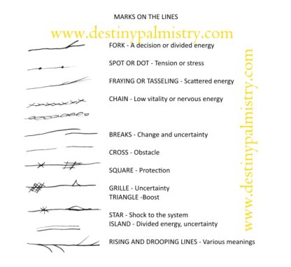 Apollo Line that Shows a Gifted Person - Destiny Palmistry