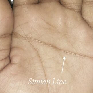 Lines on the palm meaning Archives - Destiny Palmistry