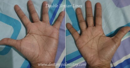 Simian Personality and Quotes - Destiny Palmistry