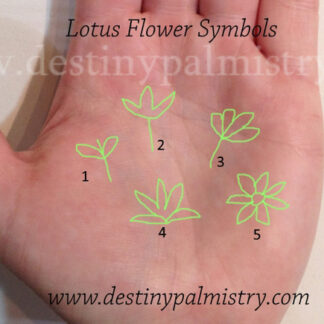 Symbols on the palm meaning Archives - Destiny Palmistry